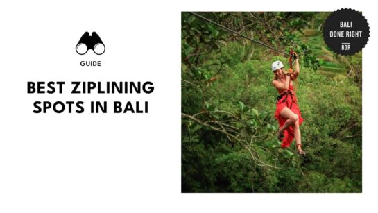 Top 6 Epic Family Hotspots for Ziplining in Bali [2026]